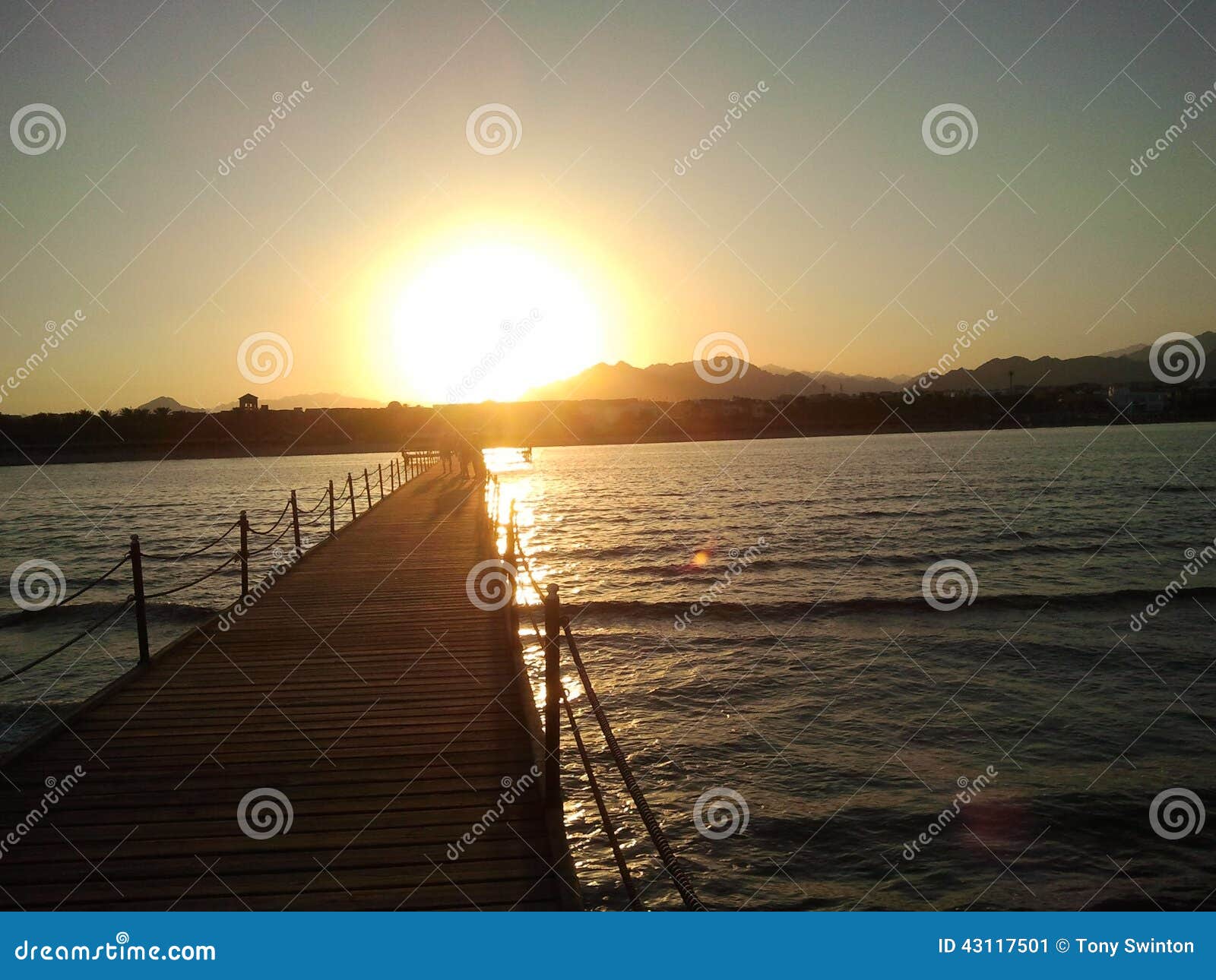 Sunset on the jetty stock image. Image of meadow, field - 43117501