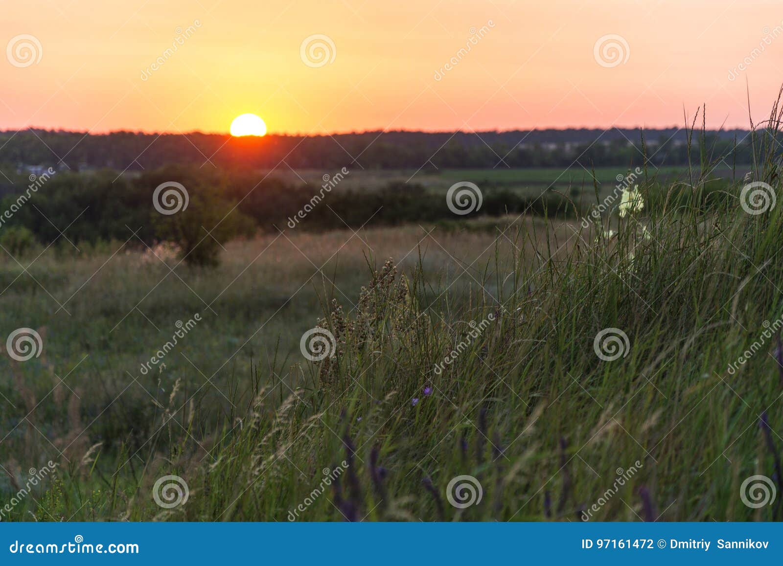 Sunset July sun stock photo. Image of field, adventure - 97161472