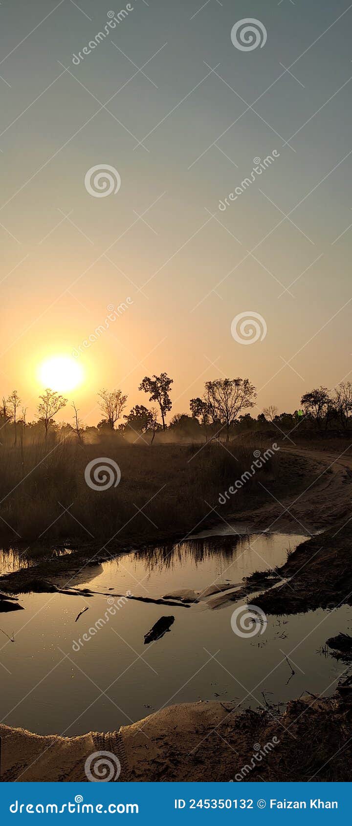 Sunset in the jungle stock photo. Image of sunrise, cloud - 245350132