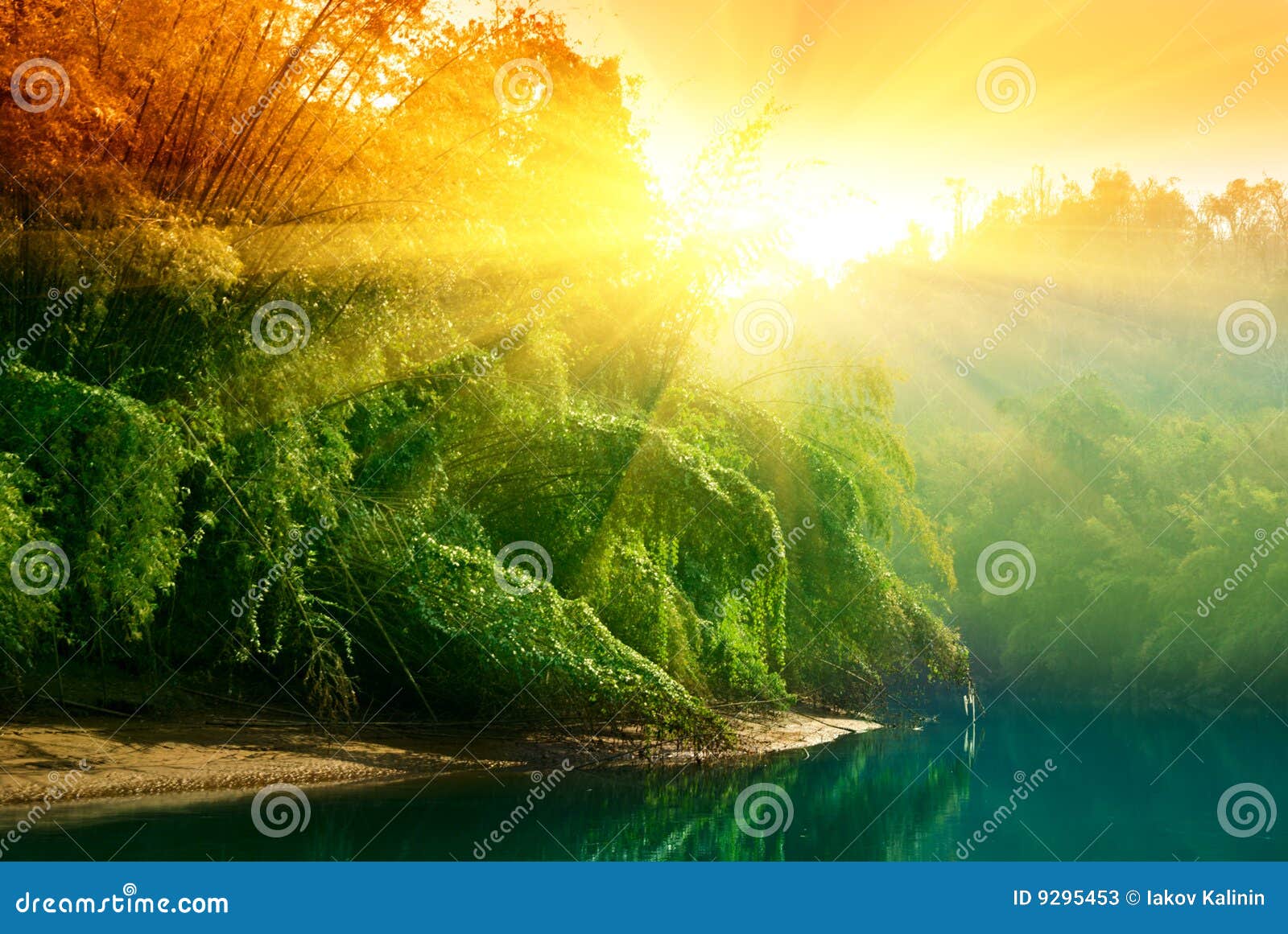 Sunset in jungle stock image. Image of stream, beautiful - 9295453