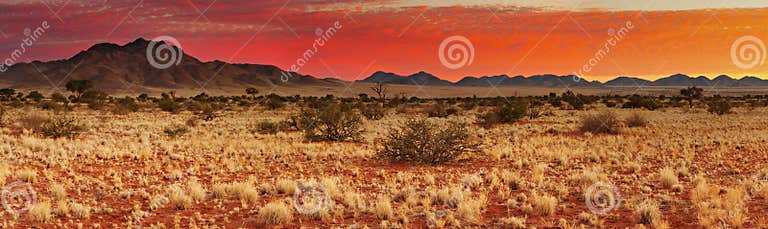 Sunset in Kalahari Desert stock photo. Image of desolate - 2740444