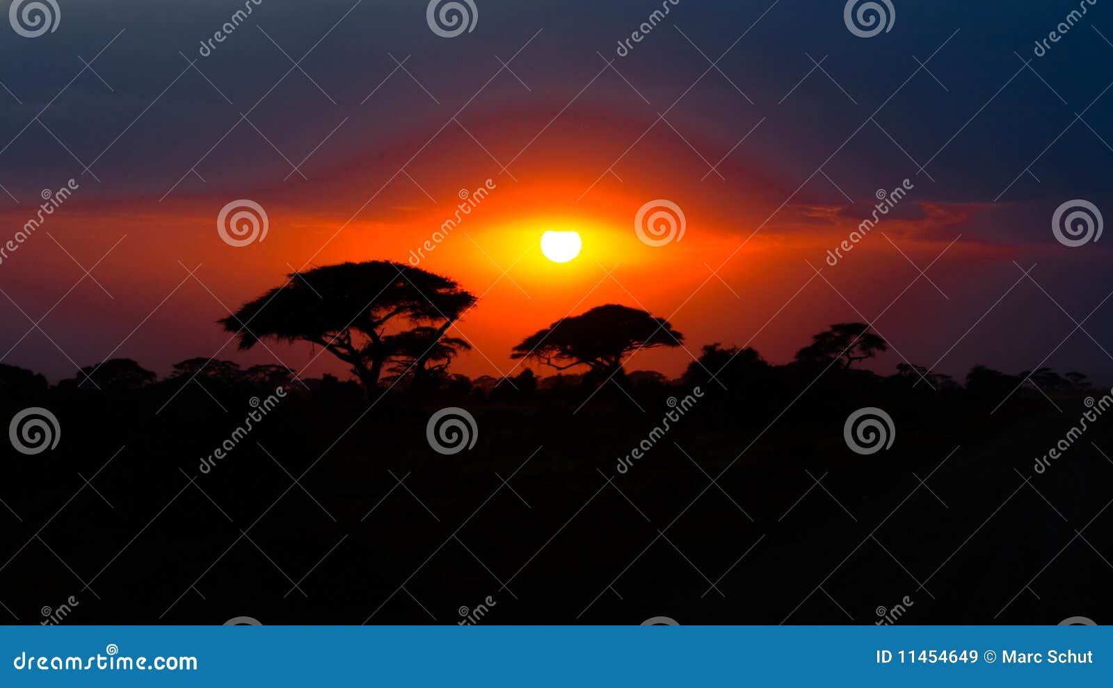 Sunset in Kenya stock image. Image of african, scenery - 11454649