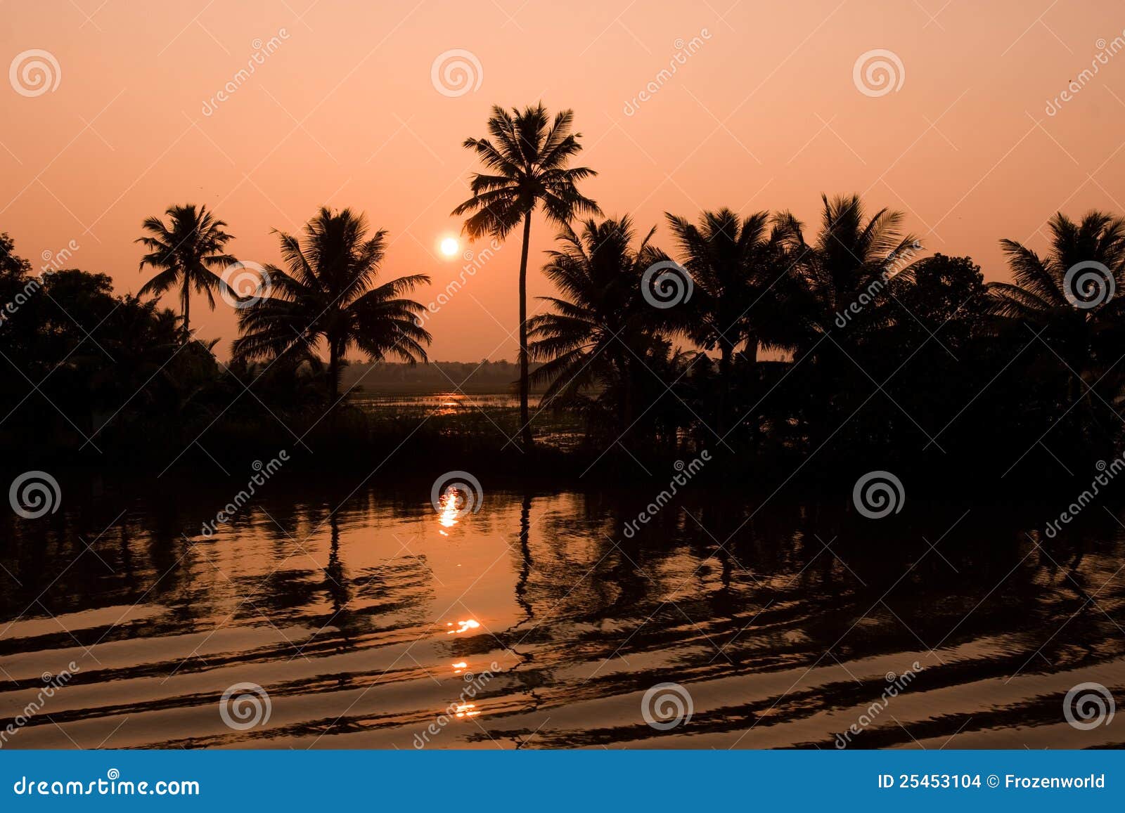 Sunset in Kerala stock photo. Image of palm, water, backwaters - 25453104