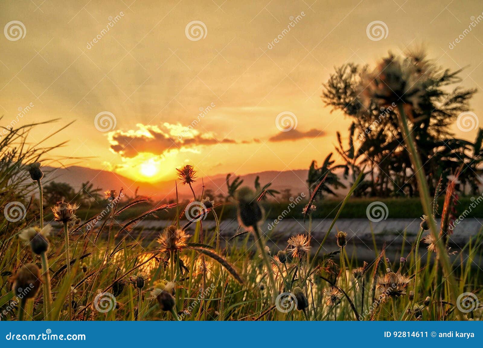 Klabang Stock Photos - Free & Royalty-Free Stock Photos from Dreamstime