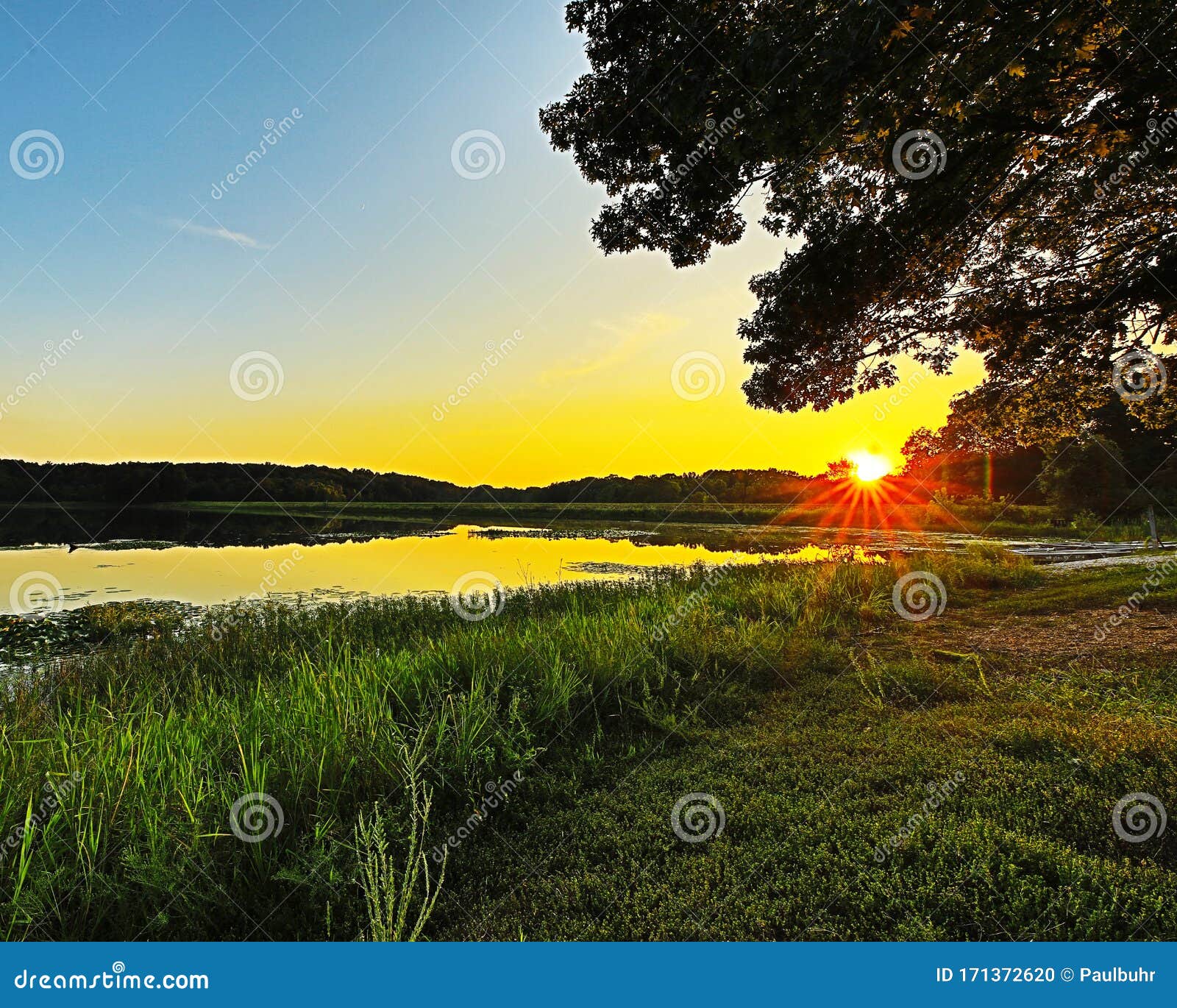 725 August Busch Stock Photos - Free & Royalty-Free Stock Photos from ...