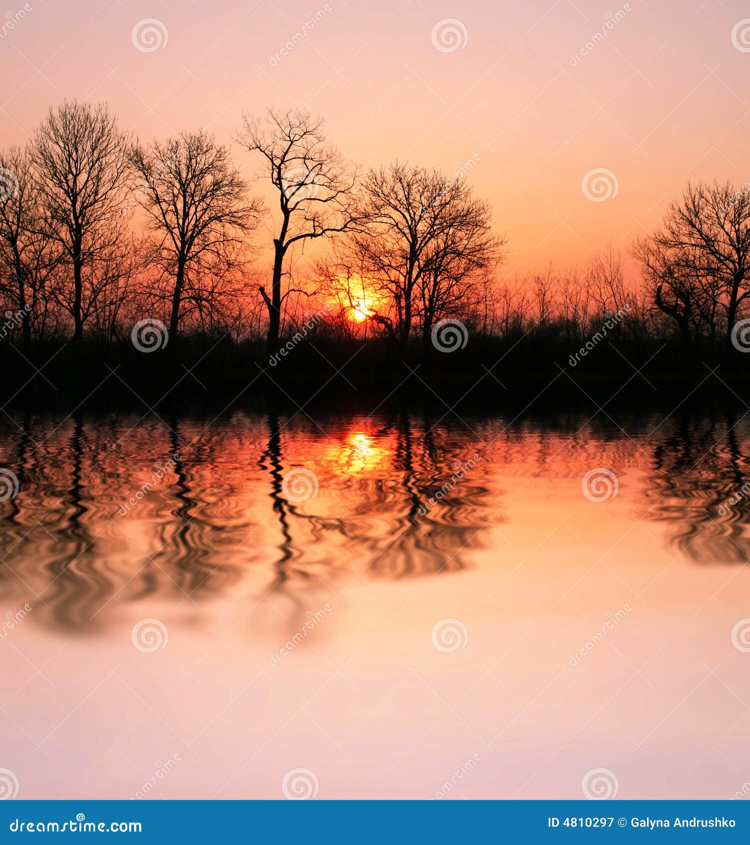Sunset on the lake stock image. Image of shore, trees - 4810297