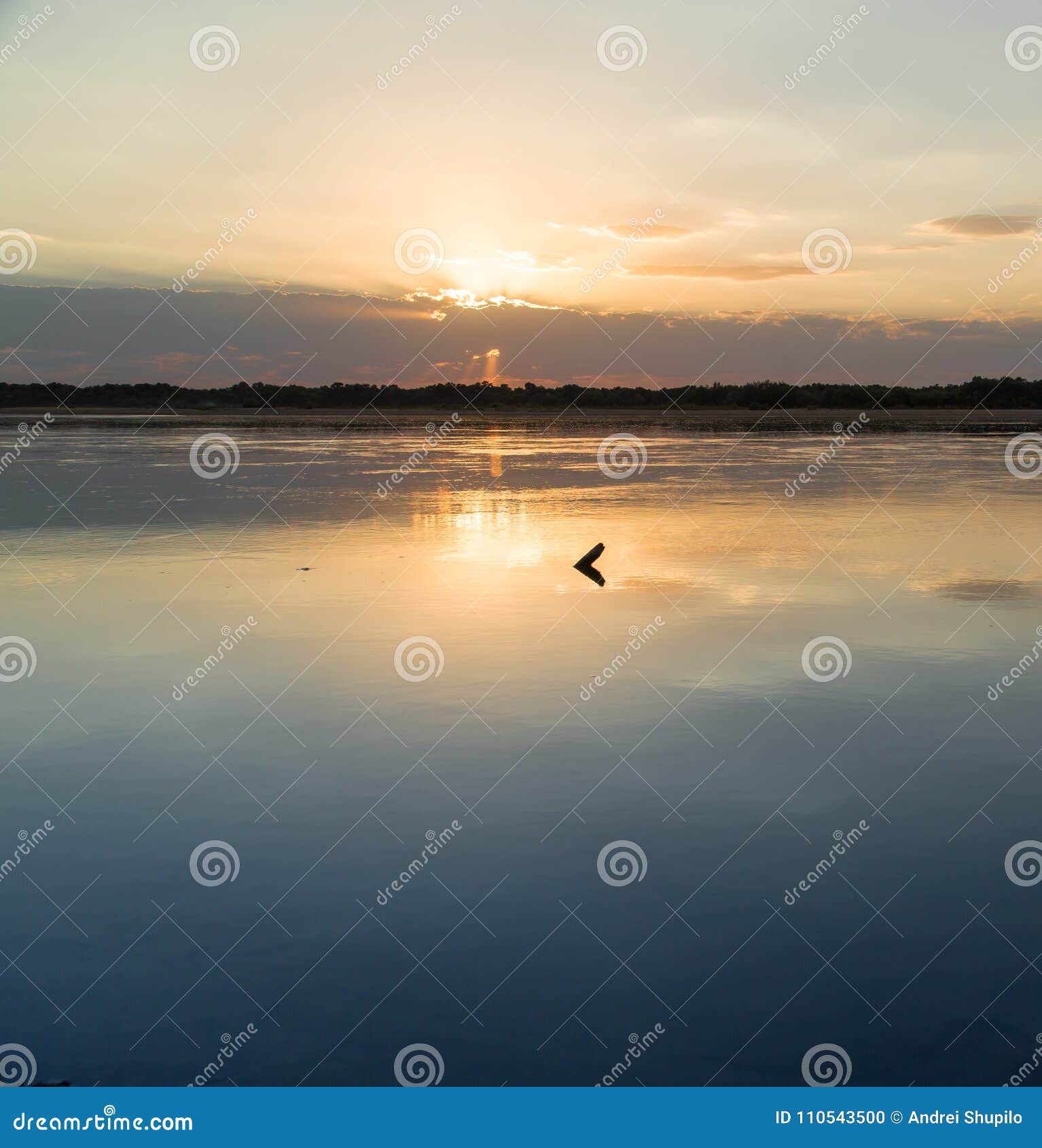 Sunset on the Lake As a Backdrop Stock Photo - Image of color, sunrise ...
