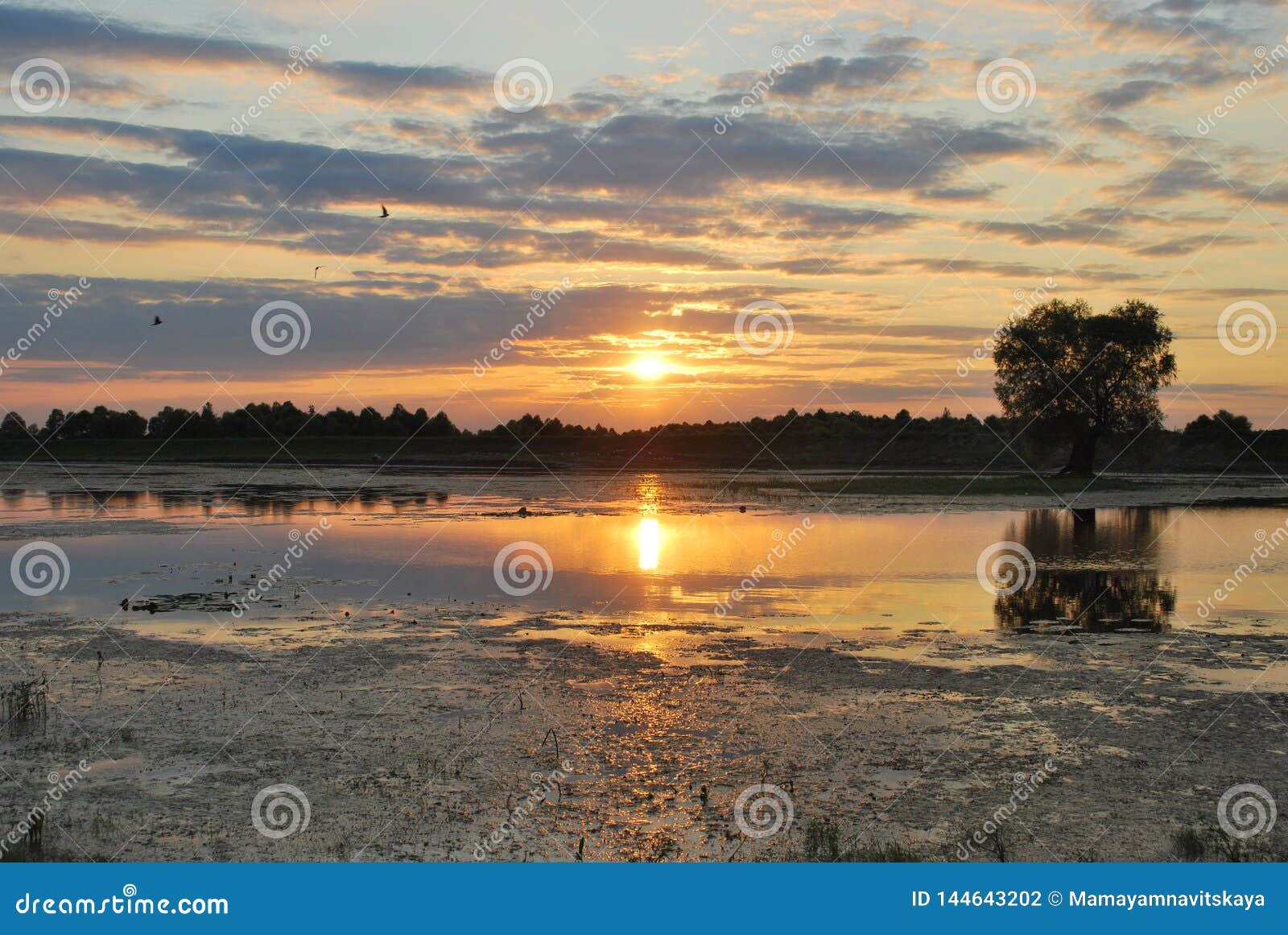 Sunset at Lake.Evening Light with River Life Stock Photo - Image of ...