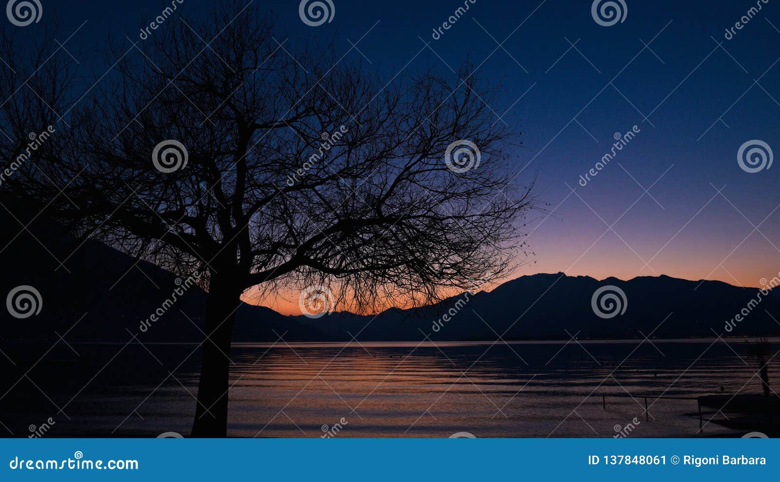 Sunset on the Lake, Tree in Backlight and Violet Sky Stock Image ...