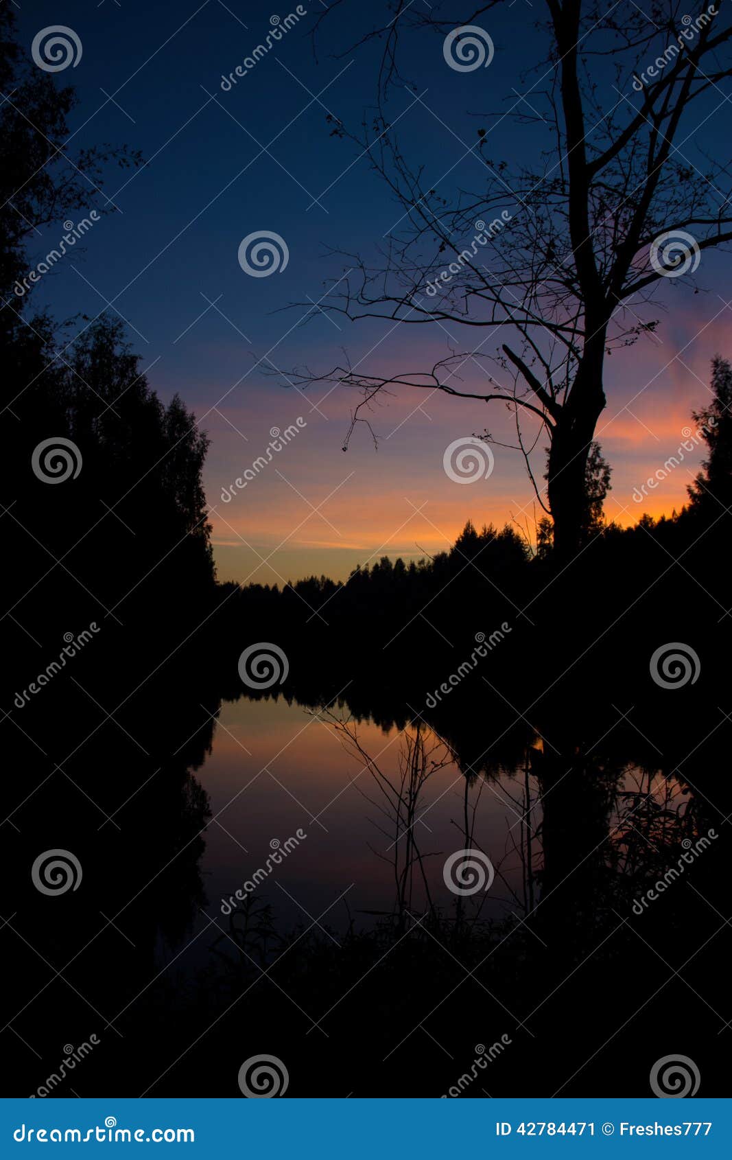Sunset on the lake stock image. Image of lake, sunset - 42784471