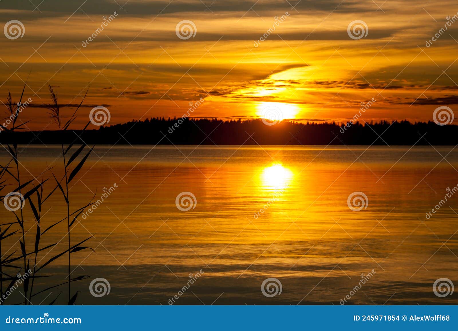 Sunset at the lake Unden stock photo. Image of plants - 245971854