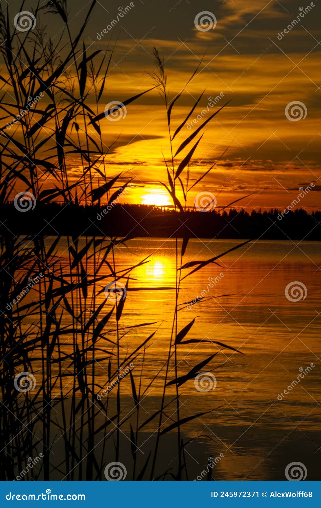 Sunset at the lake Unden stock image. Image of sweden - 245972371