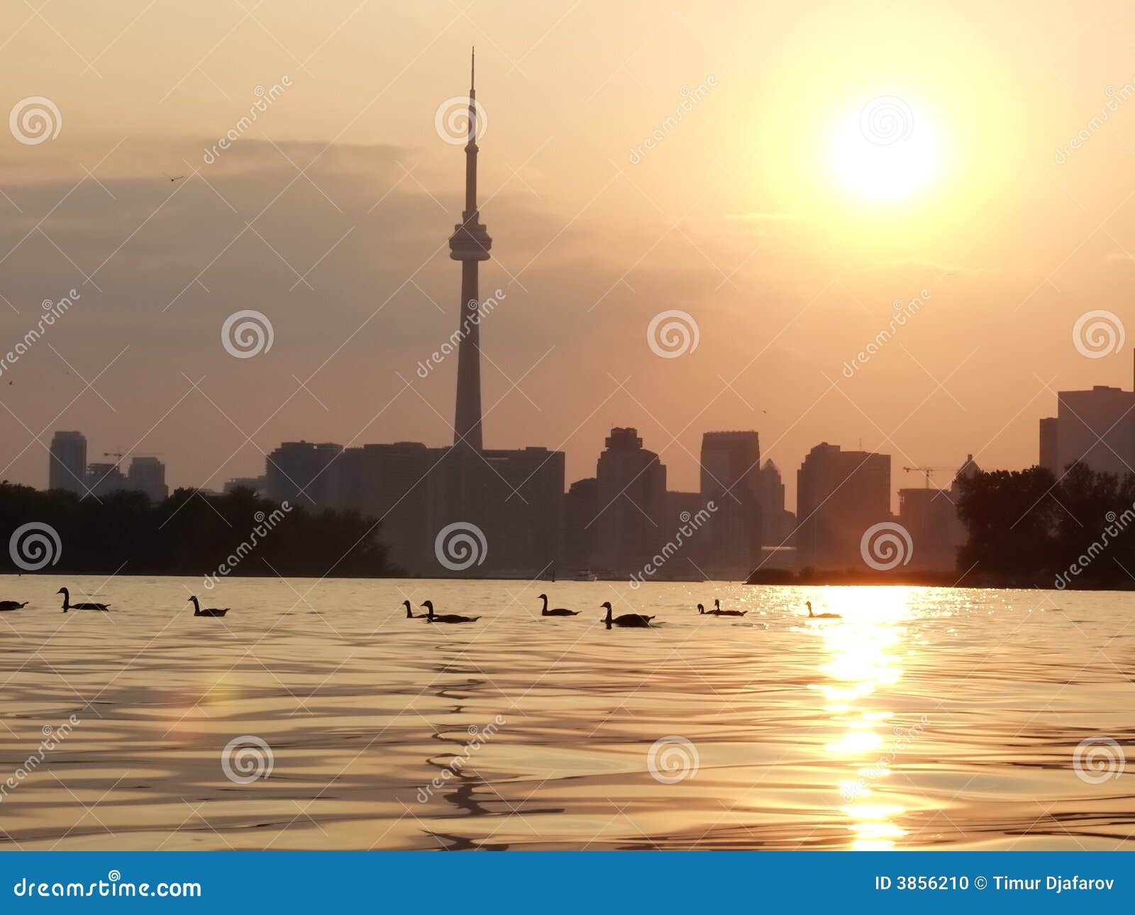 Sunset Lake View of Downtown Toronto Stock Photo - Image of dugs, river ...