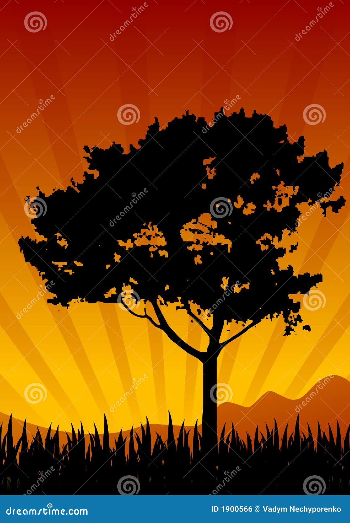 Sunset With Landscape Of Baobab Trees. Forest Of Boab Or Baobab Tree ...