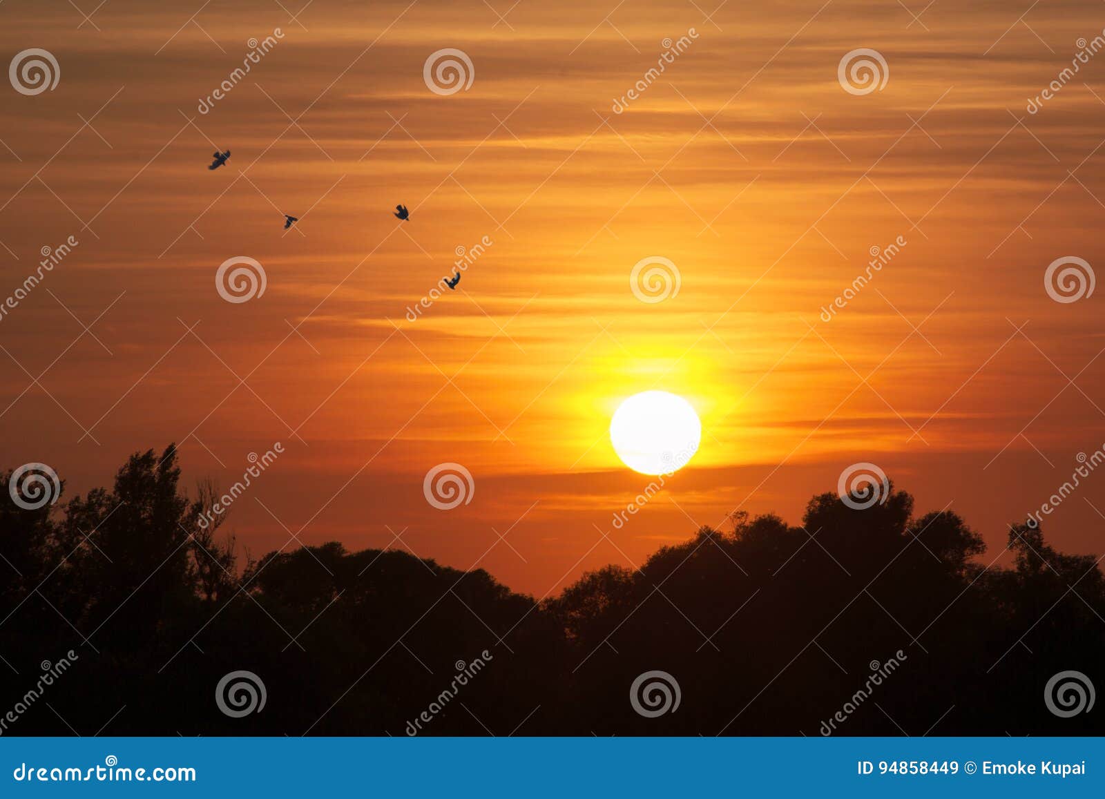 Sunset Landscape with Birds Stock Image - Image of sunlight, travel ...
