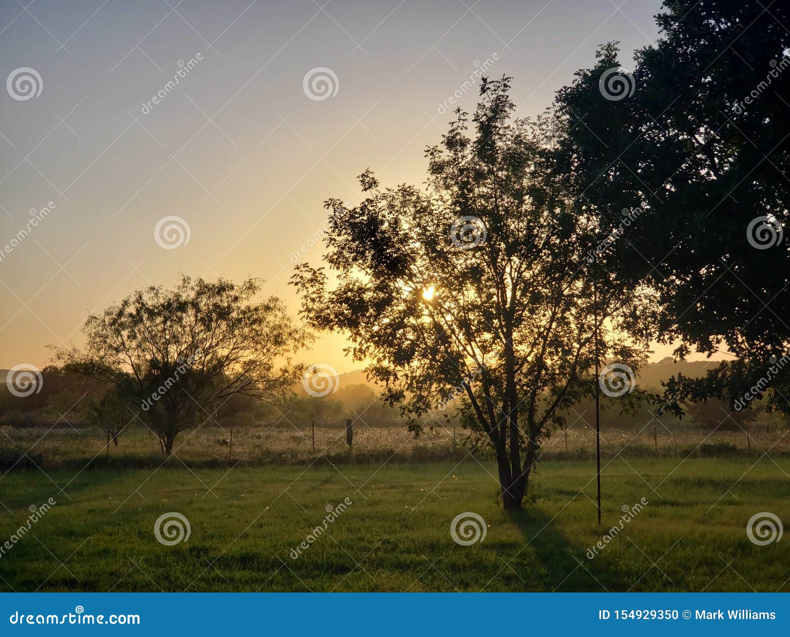 Sunset stock photo. Image of landscape, dusk, trees - 154929350