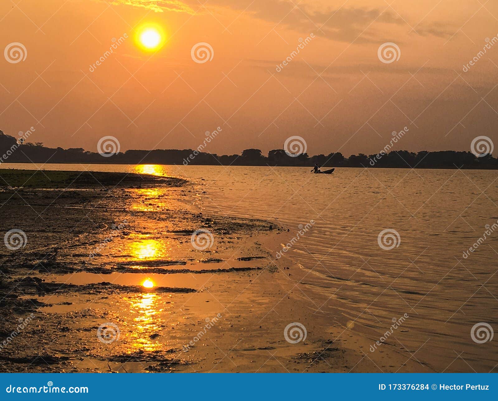 Sunset Landscape at the Edge of the Forest River Stock Photo - Image of ...