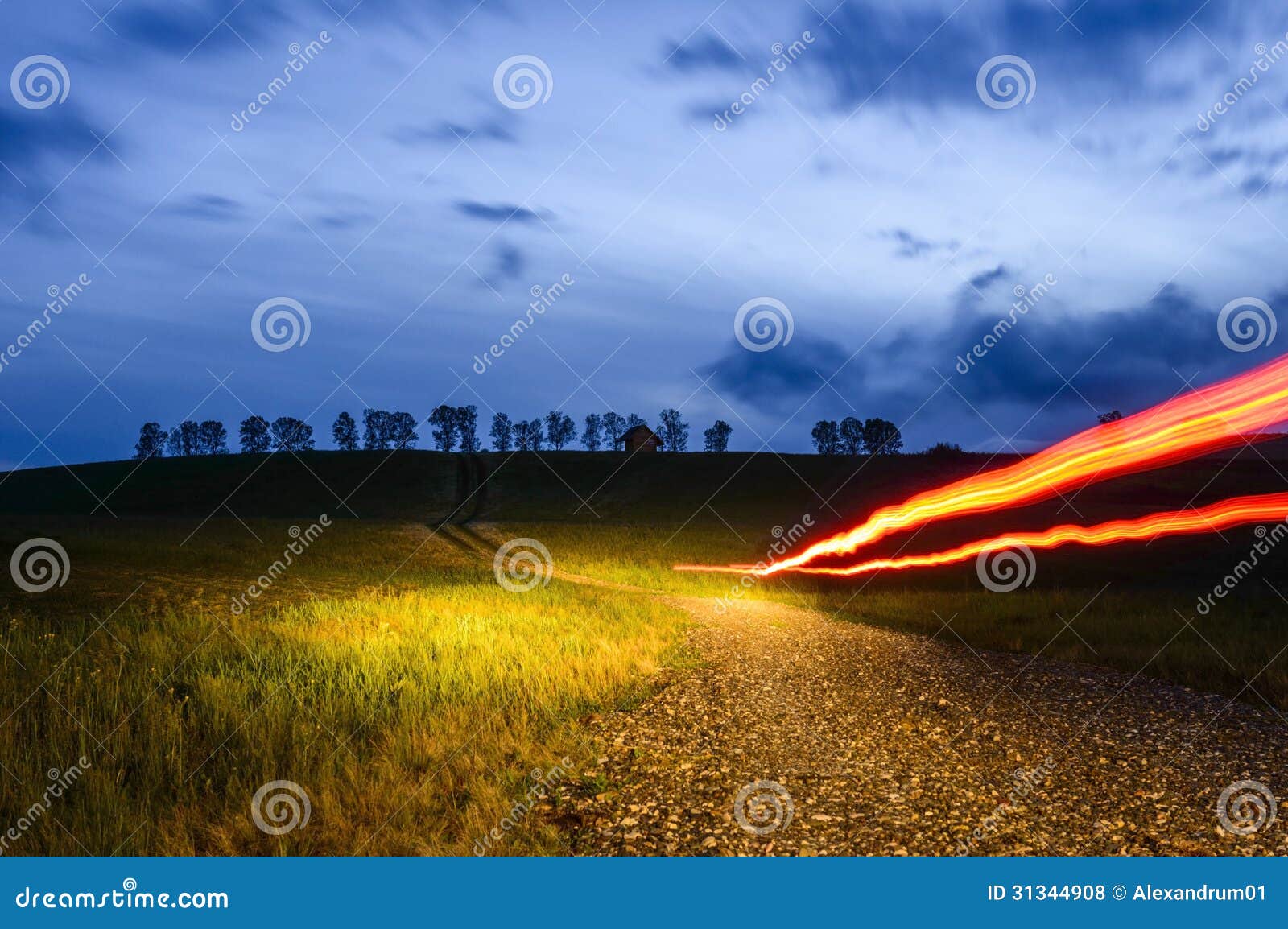 Sunset Landscape with Light Trails Stock Photo - Image of trees, color ...