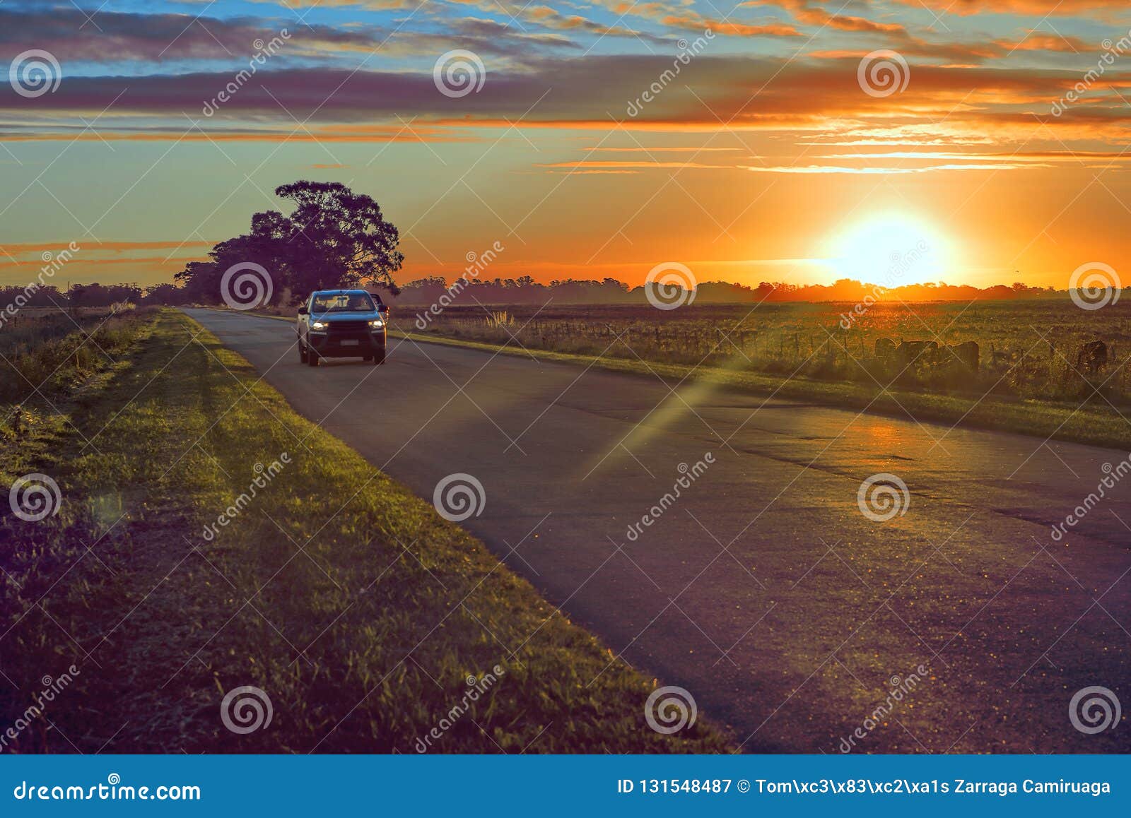 Sunset Landscape Road and Pasture Fields in Argentina Stock Image ...