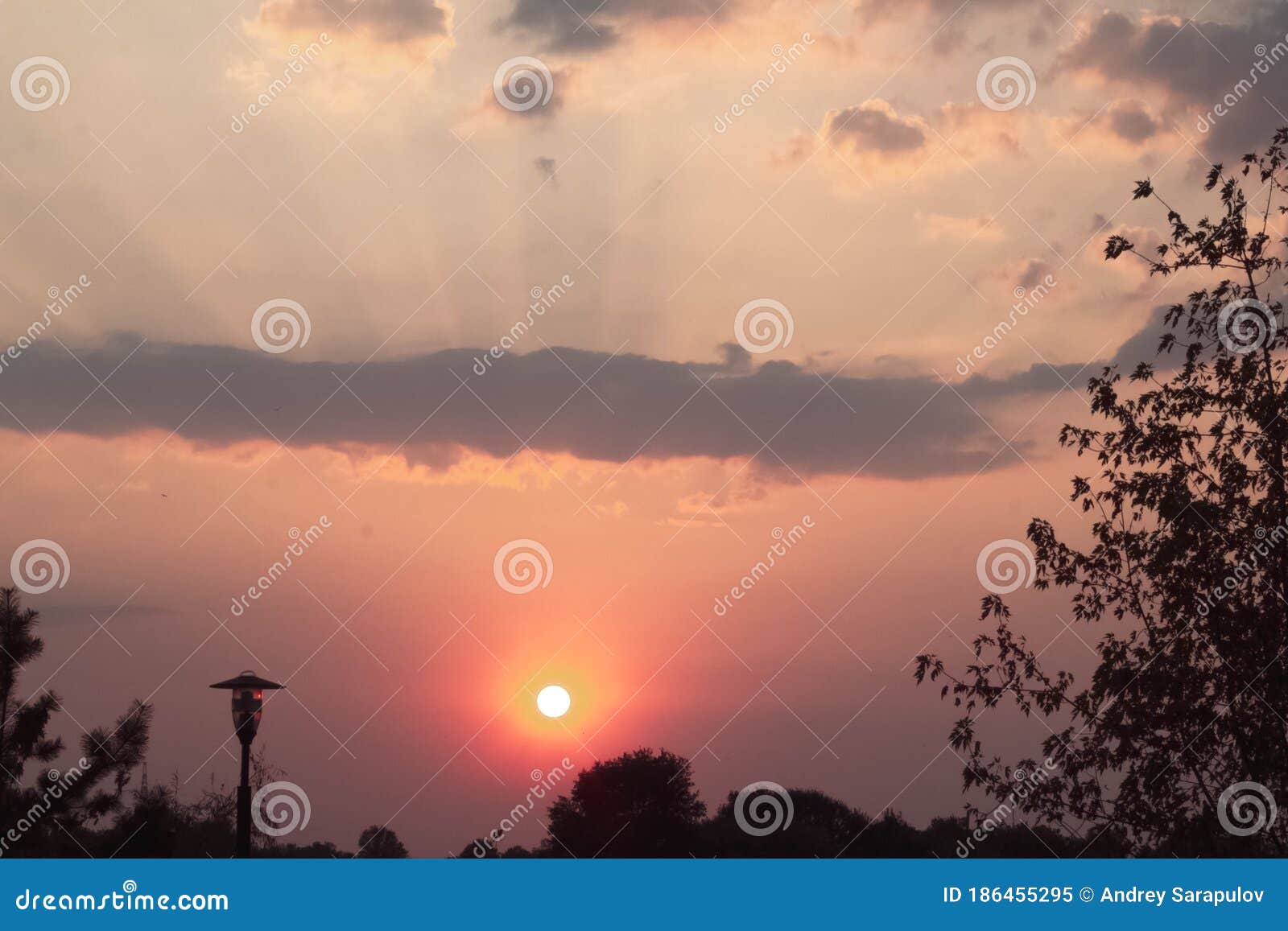 Sunset Lantern with Sunshine Tree One Stock Image - Image of life ...