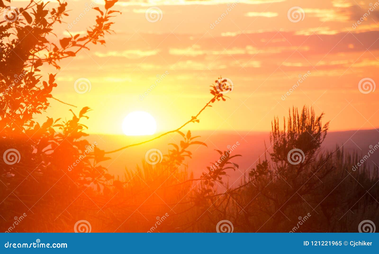 Sunset with Leafy Foliage Silhouette Stock Image - Image of amazing ...
