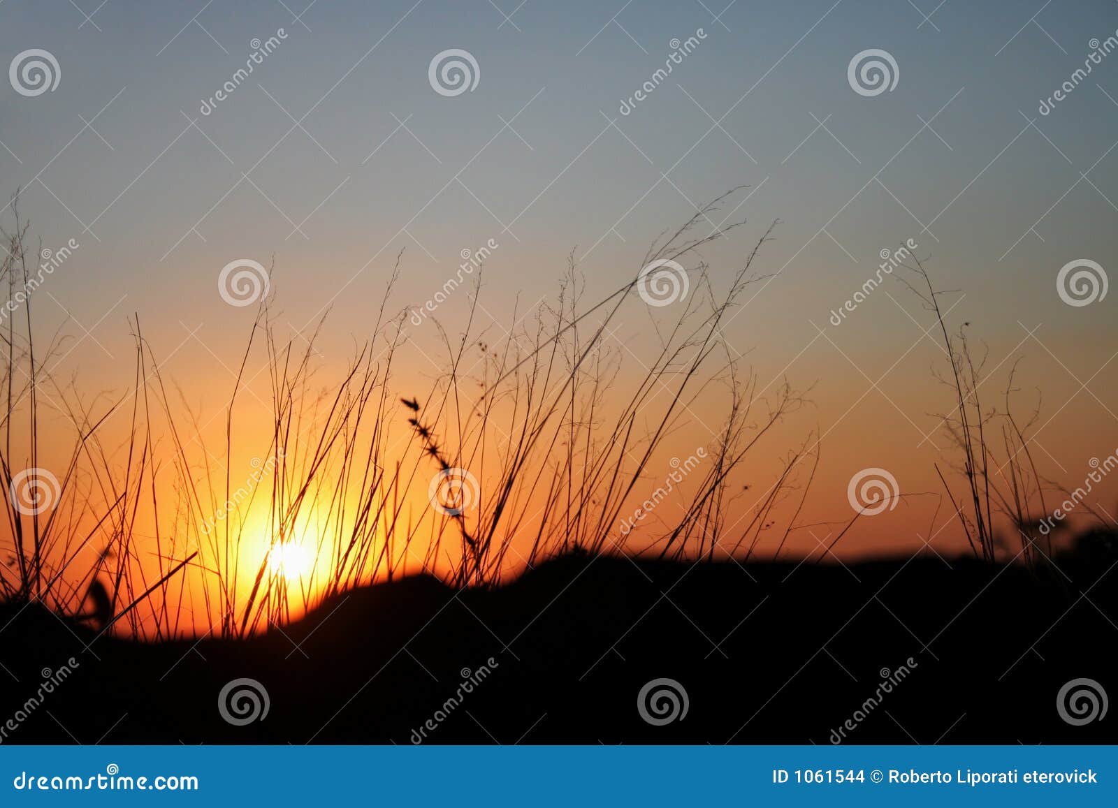 Sunset left stock photo. Image of dark, silhouette, autumn - 1061544