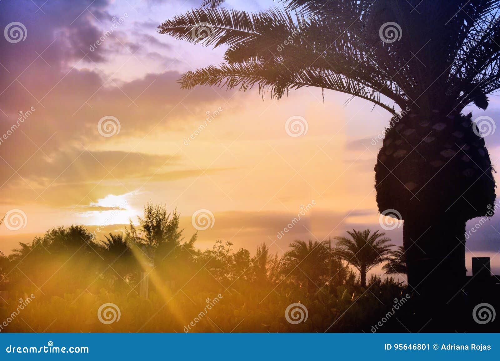 Sunset is the life stock image. Image of shinning, future - 95646801