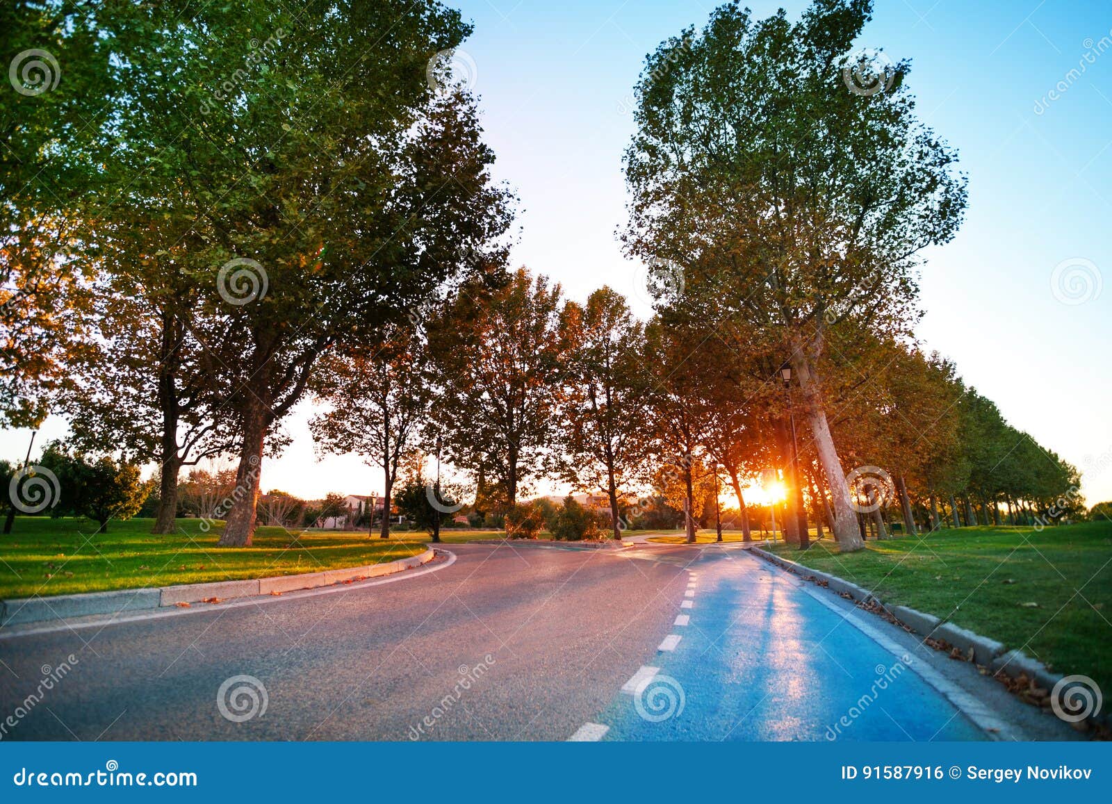 Sunset Light Breaking through the Trees Along Road Stock Photo - Image ...