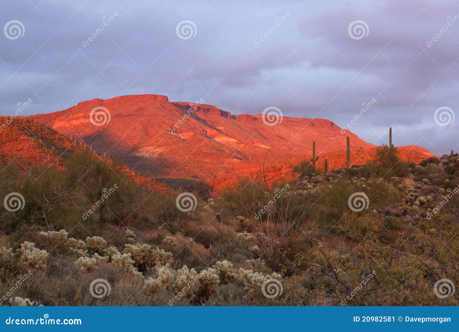 Sunset Light on a Desert Mesa Stock Image - Image of desert, soul: 20982581