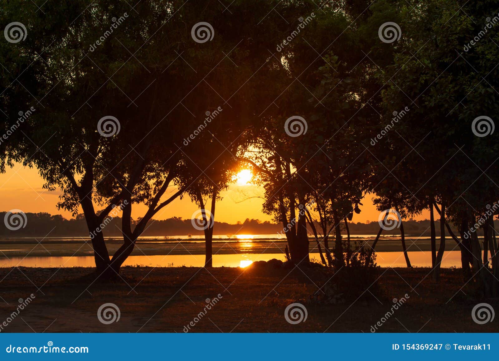 Sunset Light Rays Piercing through the Trees on the Lake Stock Image ...