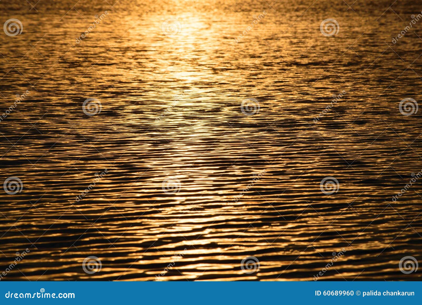 Sunset light water waves stock photo. Image of reflection - 60689960
