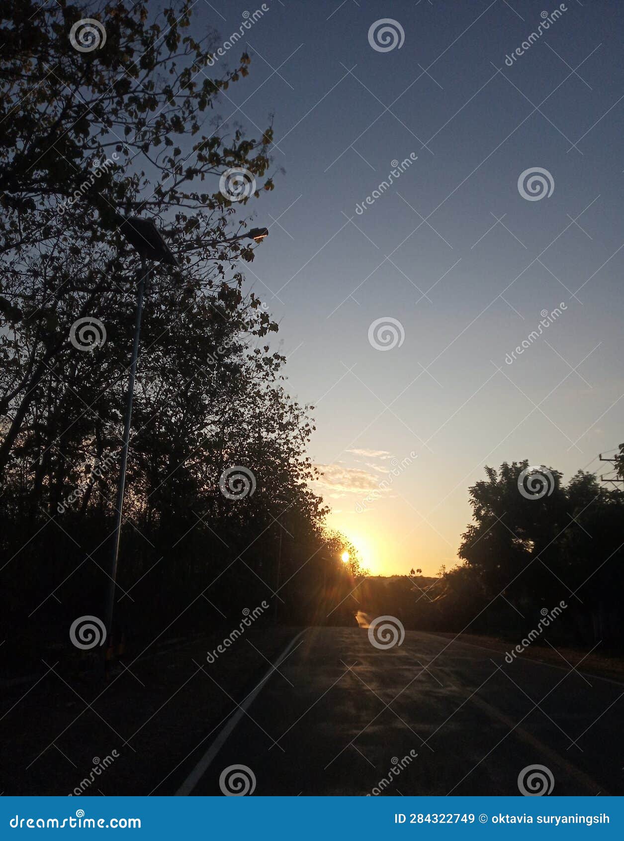 Sunset with a Line of Trees Along the Road in the Evening Stock Image ...