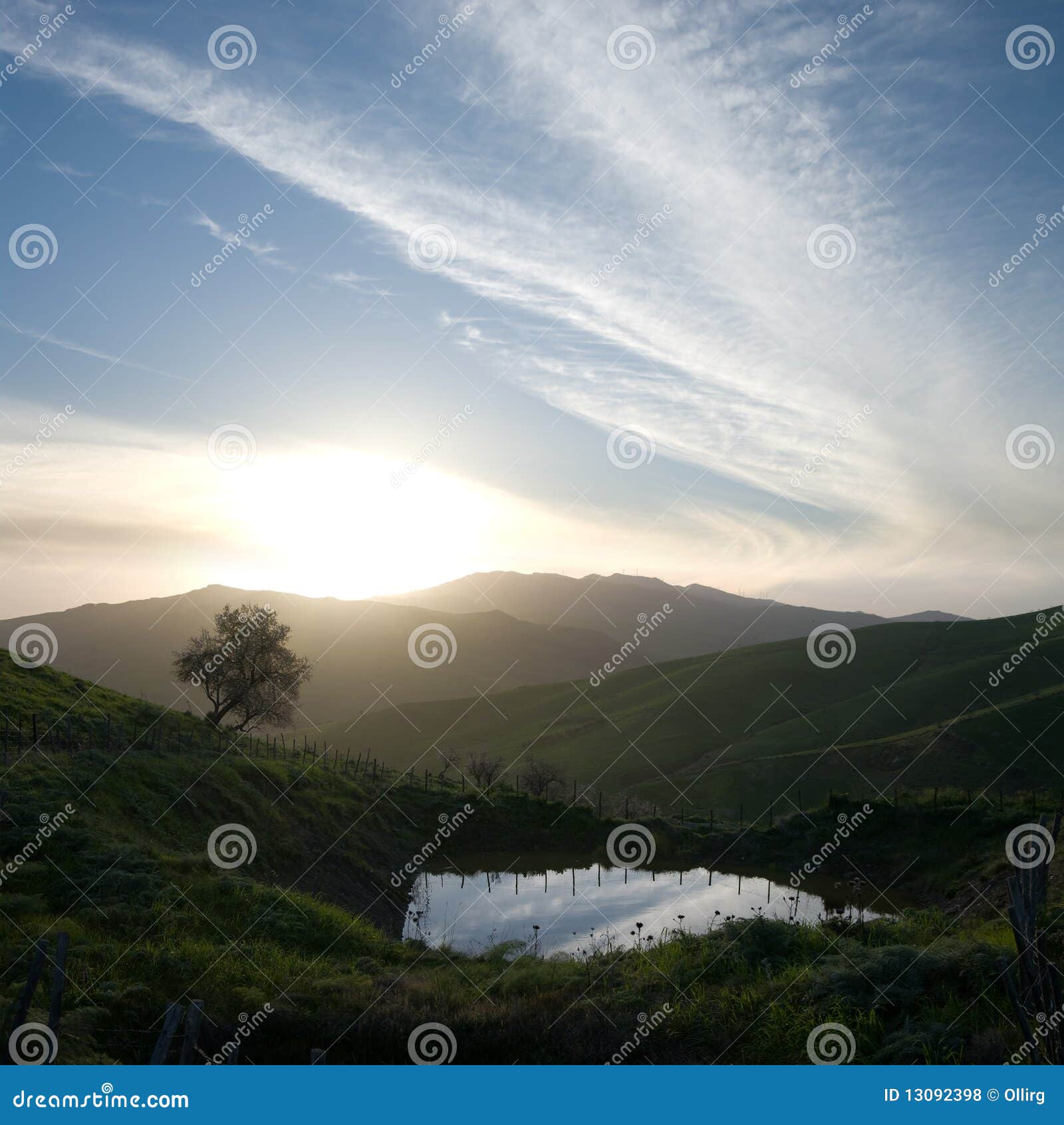 Sunset on Lonely Tree and Pond Stock Photo - Image of country, dawn ...