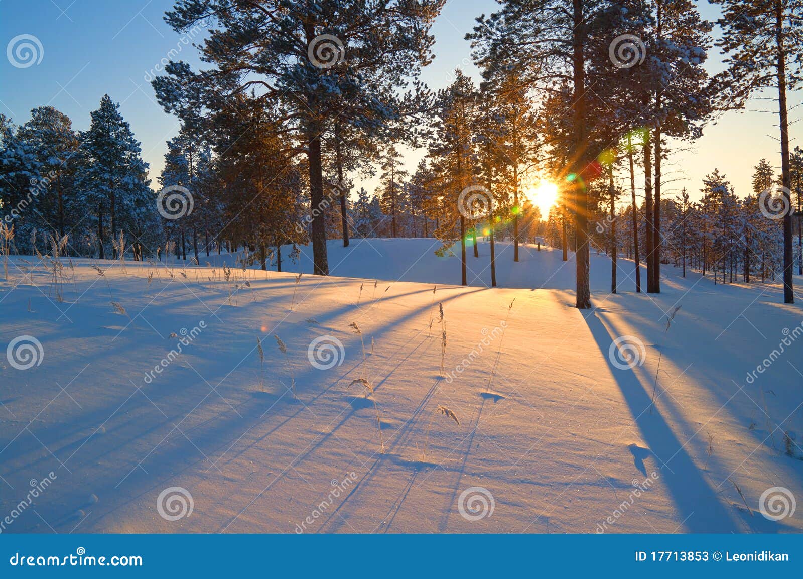 Sunset with long shadows. stock image. Image of snow - 17713853