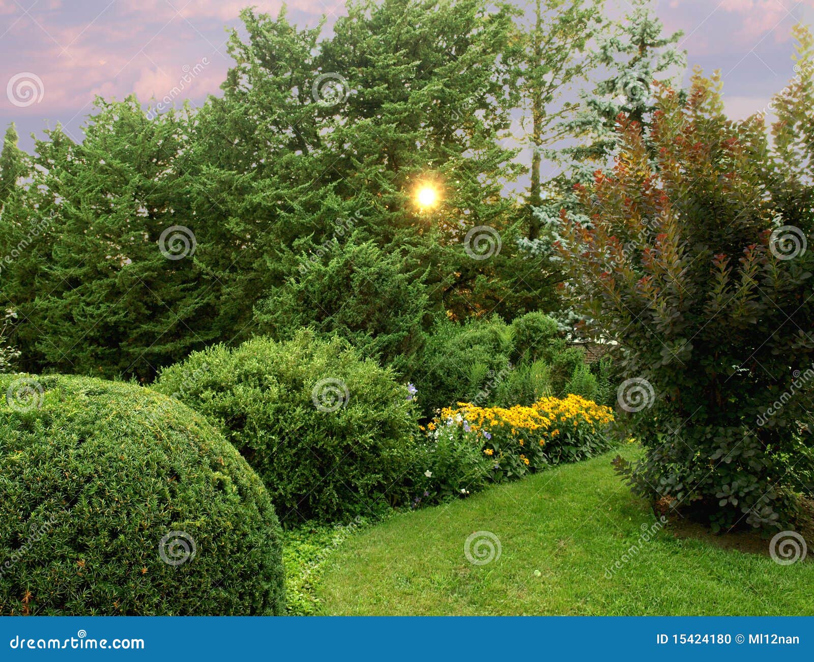 Sunset in lovely garden stock photo. Image of flower - 15424180