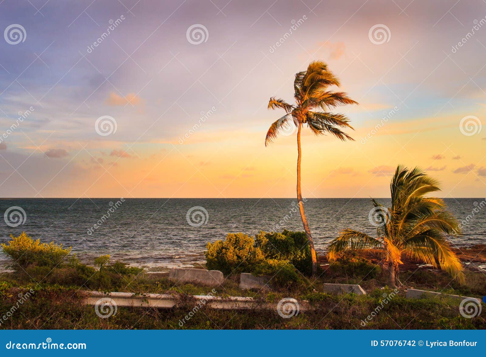 Sunset stock photo. Image of blue, beauty, gulf, duck - 57076742