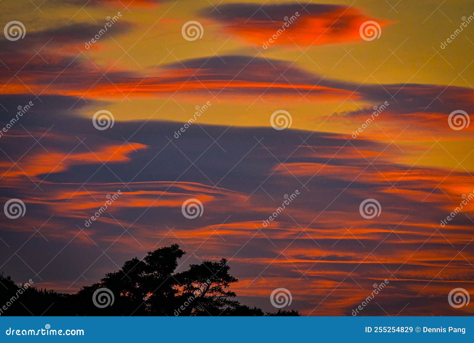 Sunset the Magic Hours Golden Minutes Stock Image - Image of magic ...