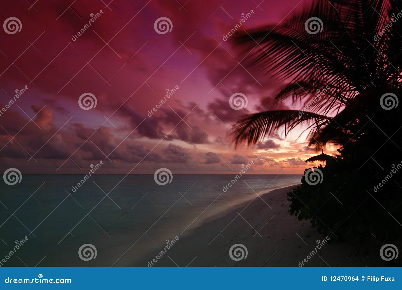 Sunset in the Maldives stock photo. Image of palm, sunise - 12470964