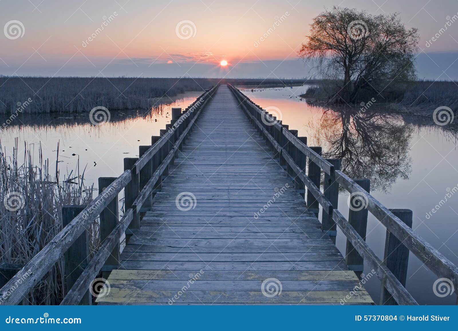 Sunset at the Marsh Boardwalk at Point Pelee, Canada Stock Photo ...