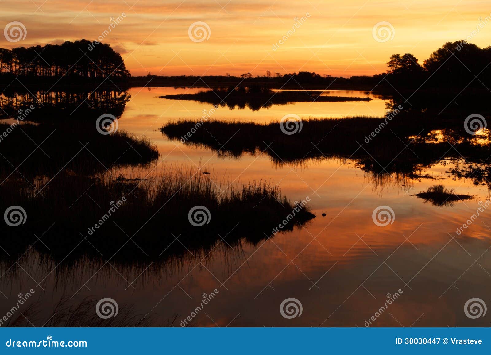 Sunset on the Marsh stock image. Image of trees, grass - 30030447
