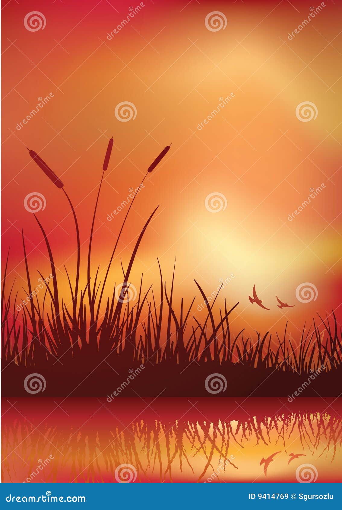 Sunset in marshland. stock vector. Illustration of grass - 9414769