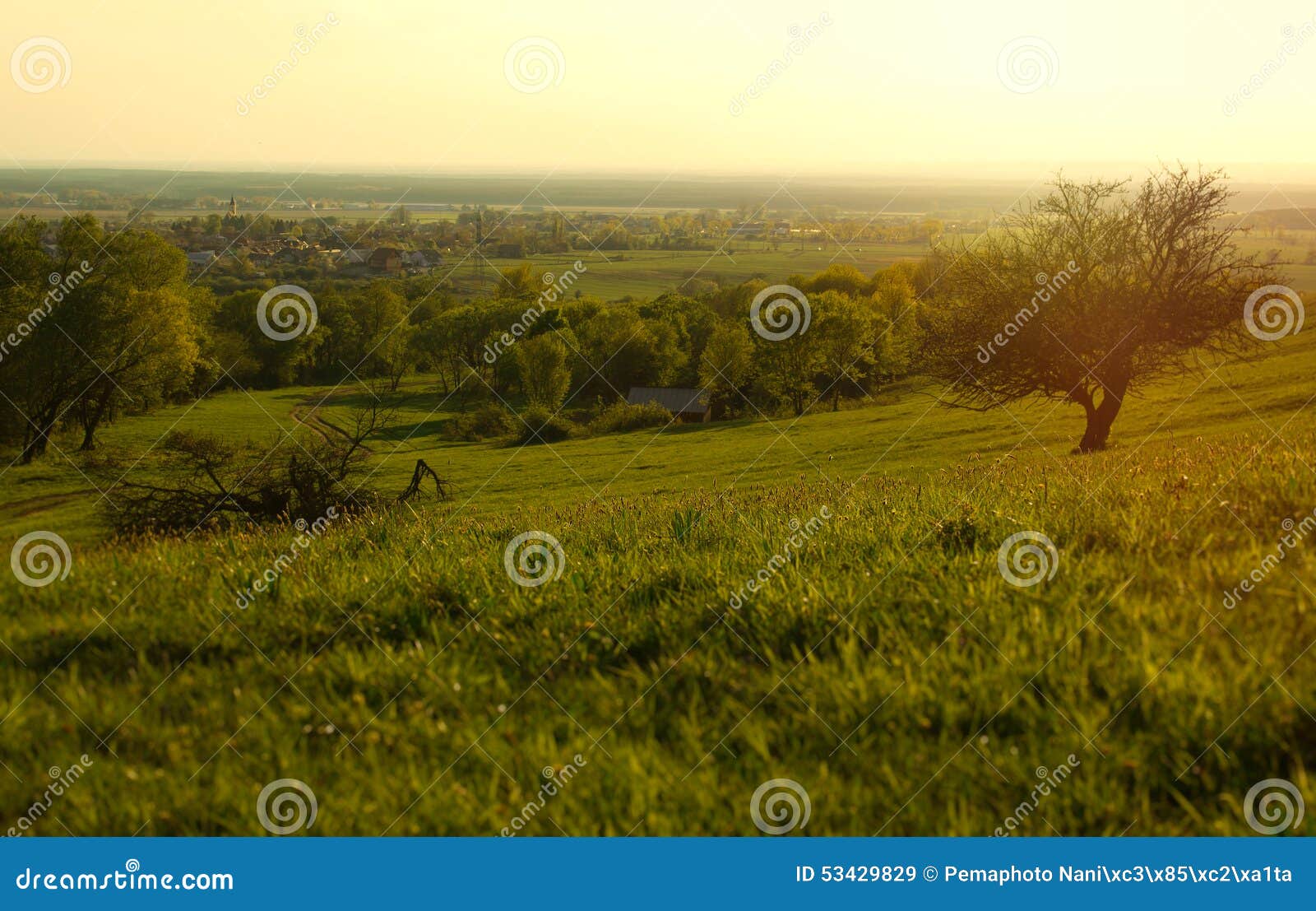 Sunset Meadow with Path To Distant Village Stock Image - Image of ...