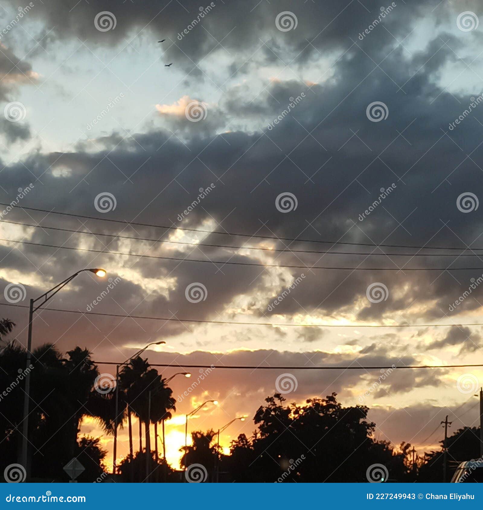 Sunset in Miami stock image. Image of light, miami, dawn - 227249943