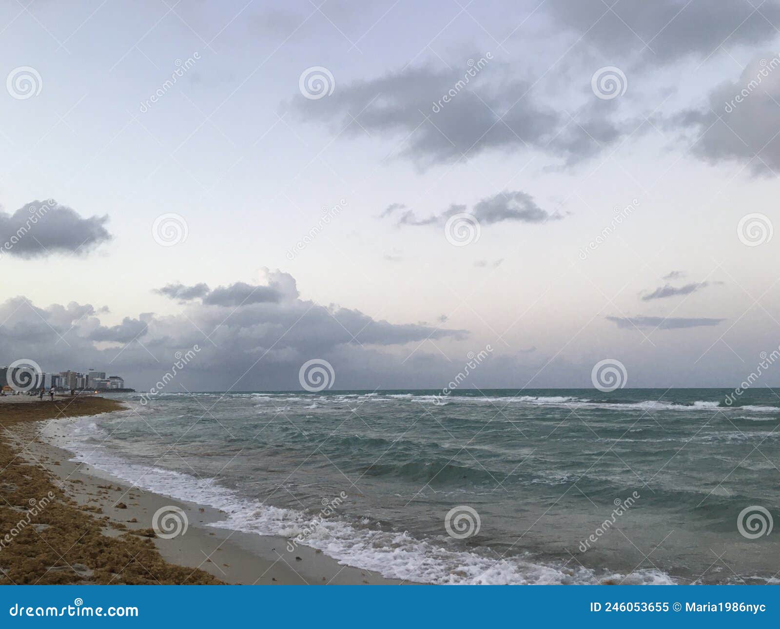 Sunset at Miami Beach in April. Stock Image - Image of lizard, april ...