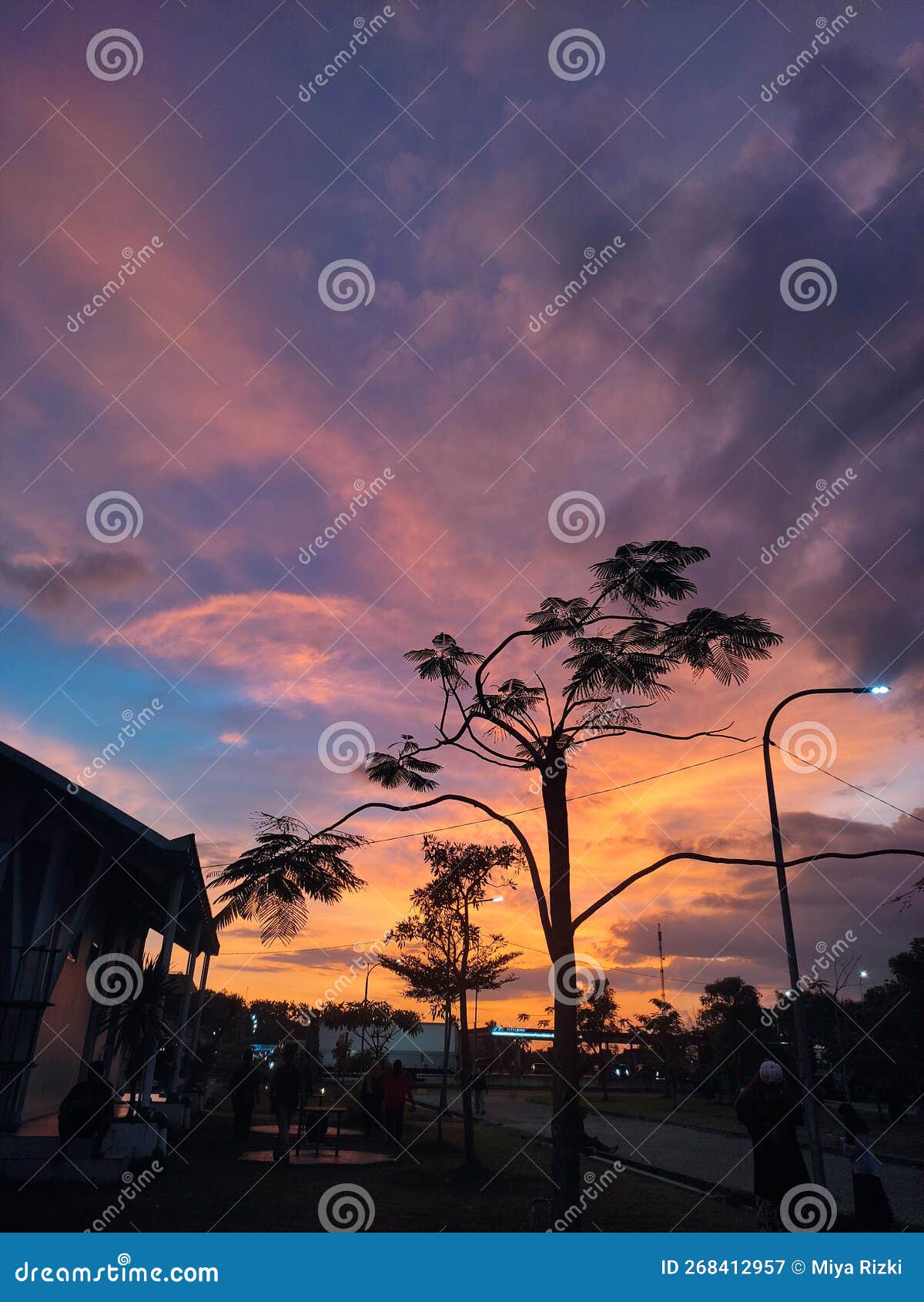 A Sunset on the Middle of Road Stock Image - Image of tree, cloud ...
