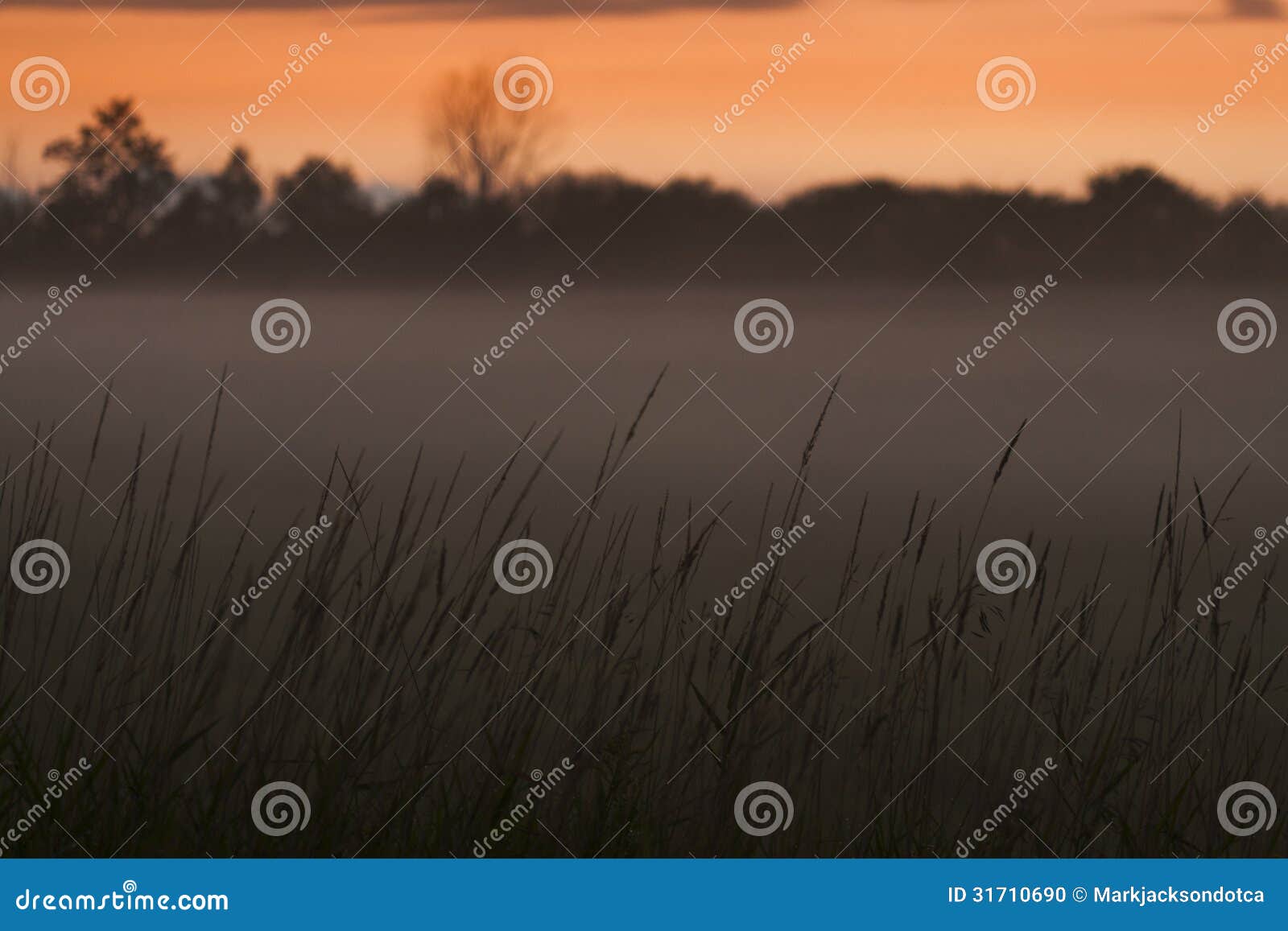 Sunset Mist stock photo. Image of sundown, mist, field - 31710690