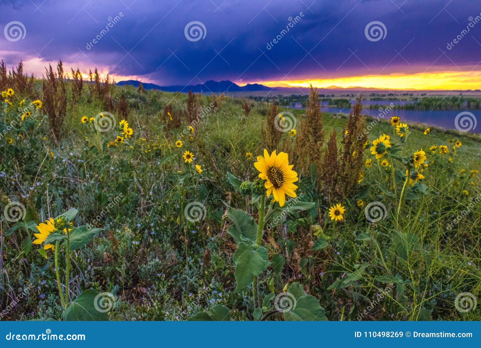 Sunset in Boulder, Colorado Stock Image - Image of boulder, peak: 110498269
