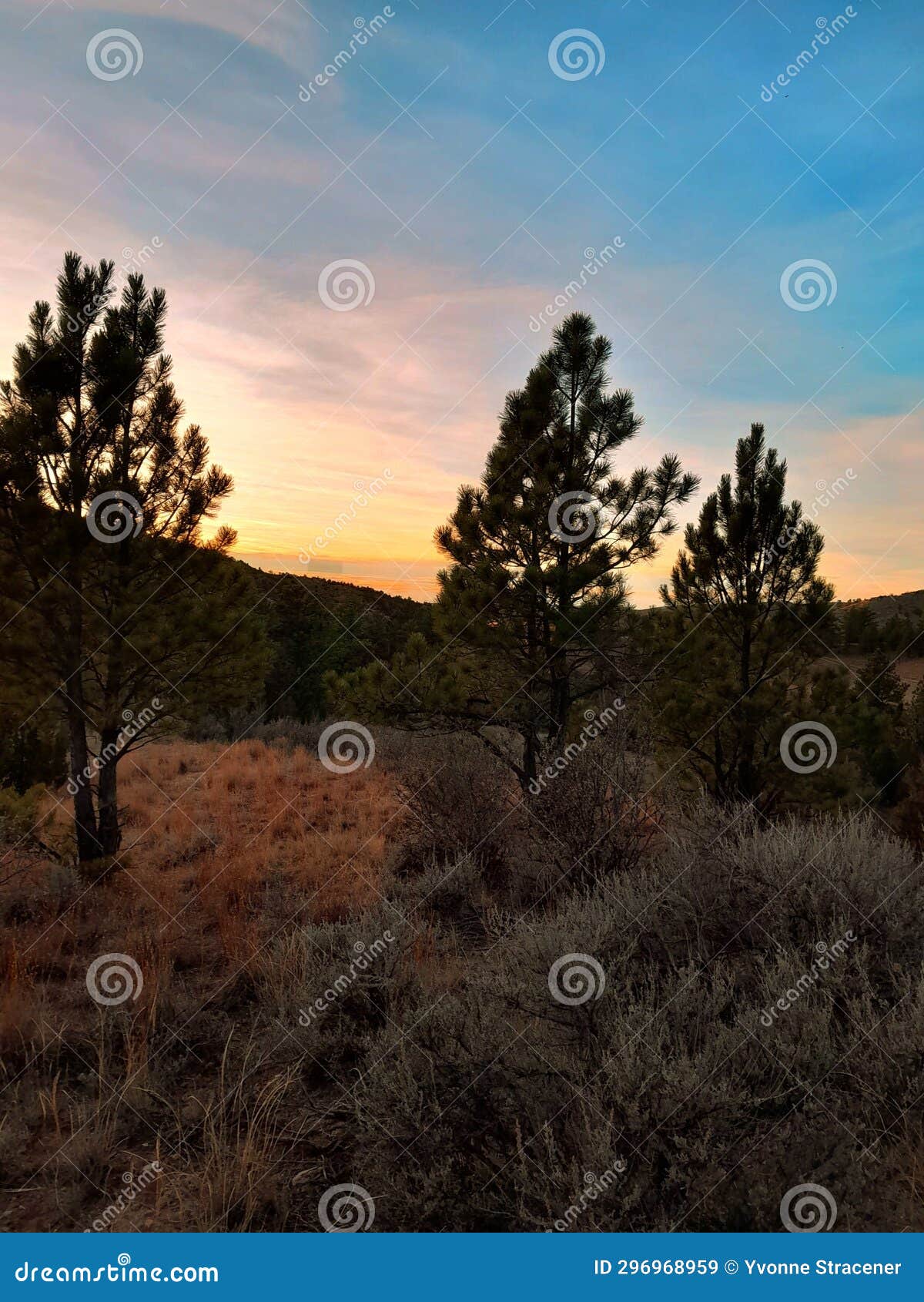Sunset on the Mountain Path in Newcastle, Wyoming Stock Image - Image ...