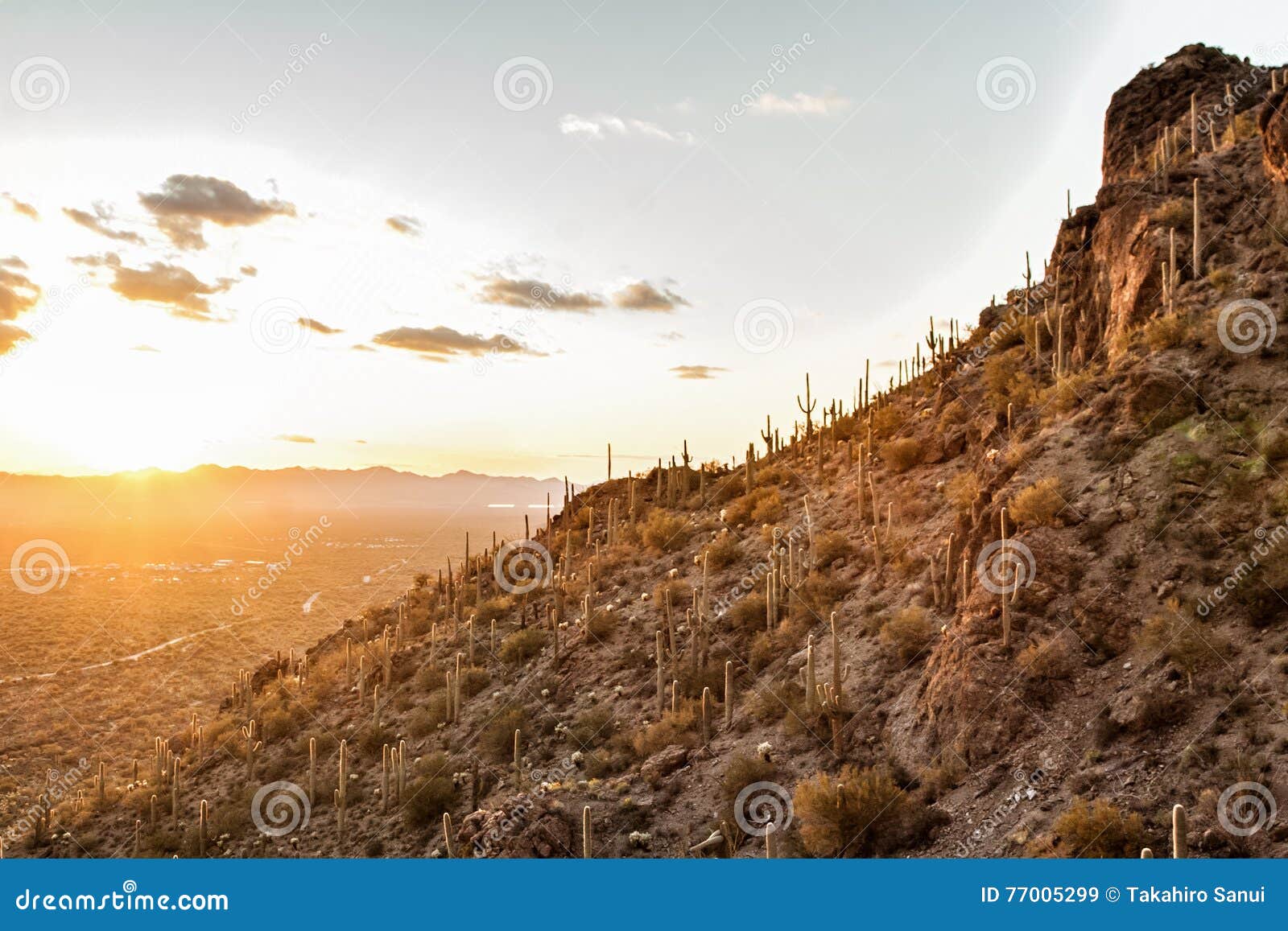 Sunset at the Mountain in Tucson AZ USA Stock Image - Image of cactus ...