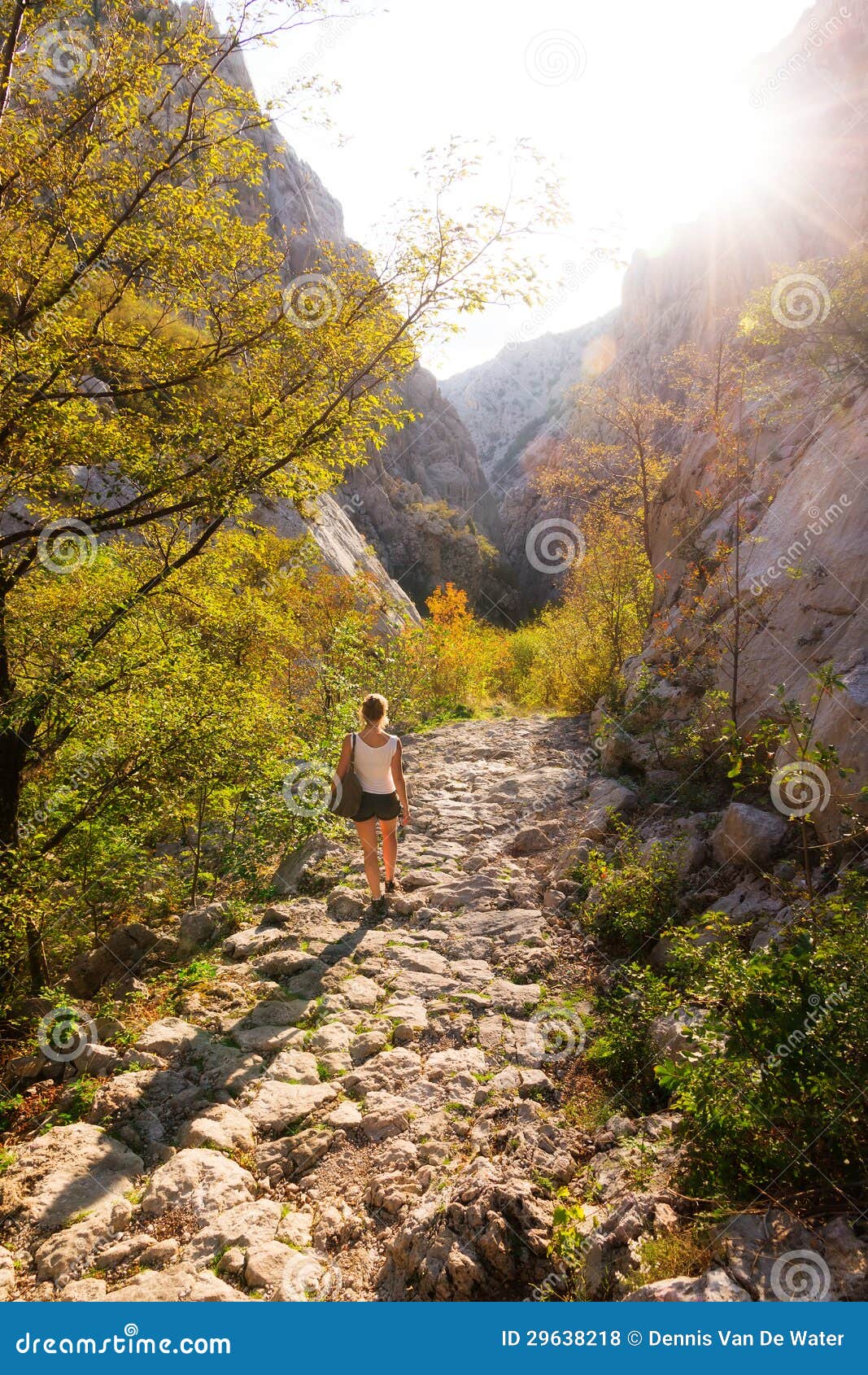 Sunset mountain walk stock photo. Image of forest, europe - 29638218